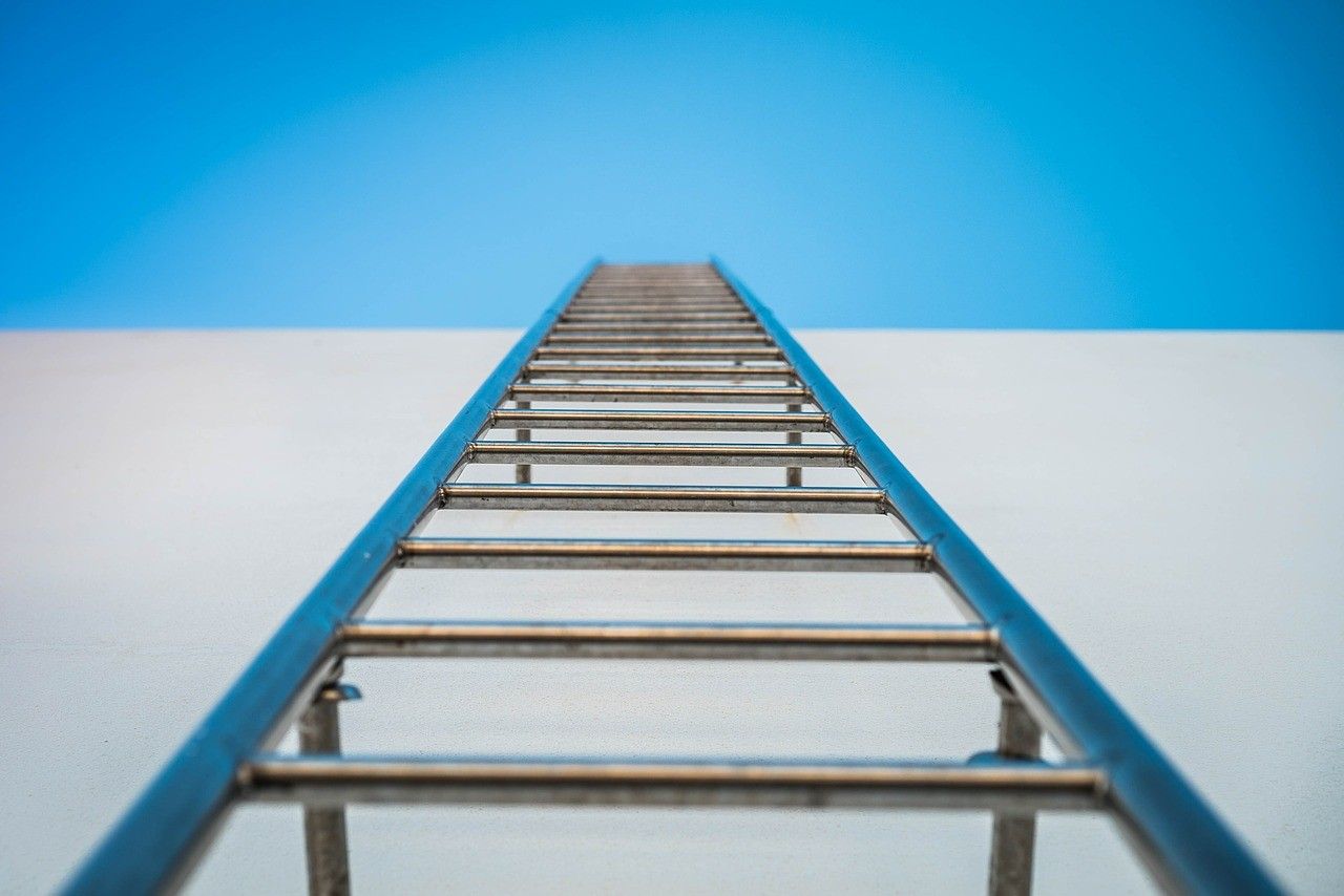 Hoe werkt de bonus/malus-ladder? - Roos